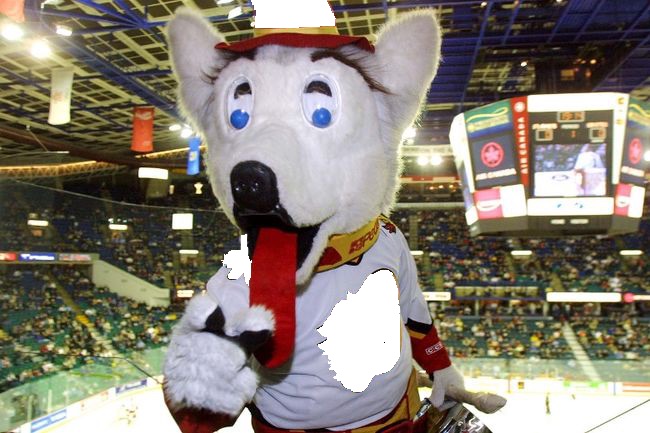 Pro Mascots | Quizzo Questions!